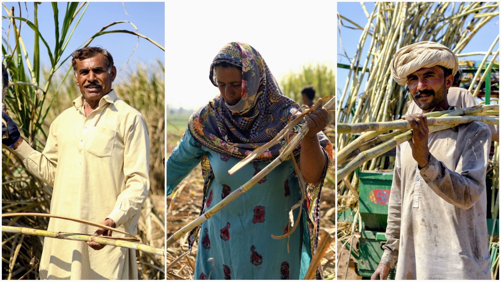 SillanWali – SillanWali Sugar Mills